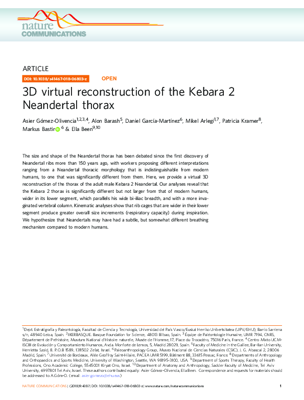 (PDF) 3D virtual reconstruction of the Kebara 2 Neandertal thorax