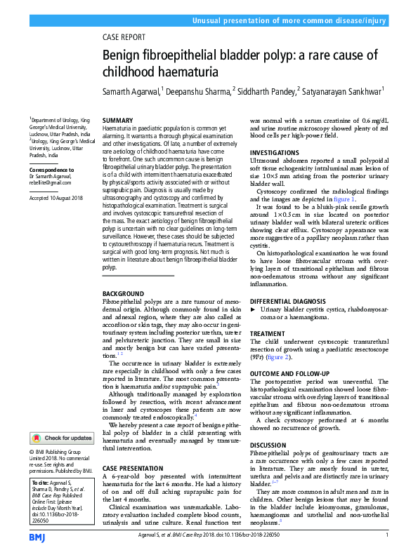 (PDF) Fibroepithelial Bladder Polyps in Children