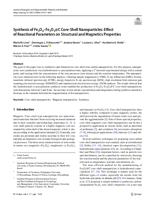 (PDF) Synthesis of Fe3O4–Fe2O3@C Core-Shell Nanoparticles: Effect of Reactional Parameters on ...