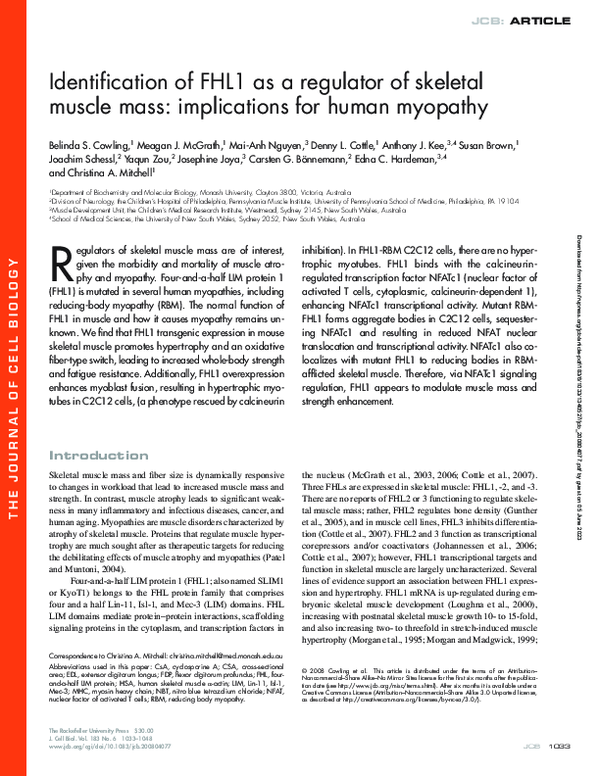 (PDF) Identification of FHL1 as a regulator of skeletal muscle mass ...