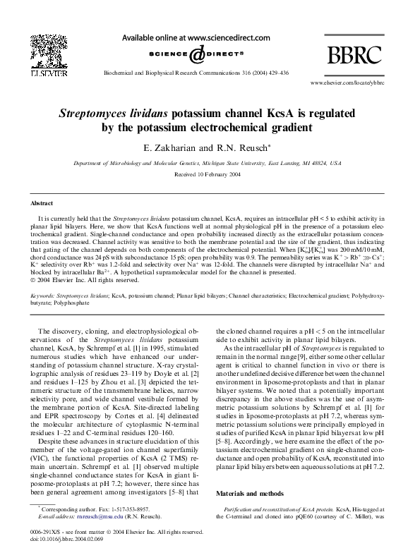 (PDF) Streptomyces lividans potassium channel KcsA is regulated by the ...