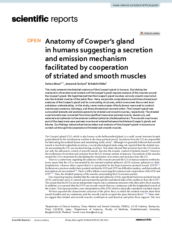 (PDF) Anatomy of Cowper’s gland in humans suggesting a secretion and ...