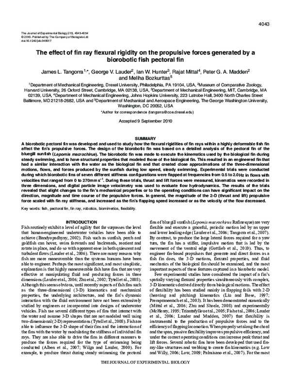 (PDF) The effect of fin ray flexural rigidity on the propulsive forces ...