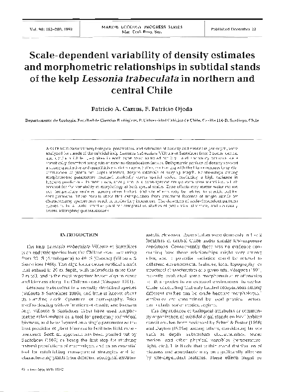 (PDF) Scale-dependent variability of density estimates and morphometric ...