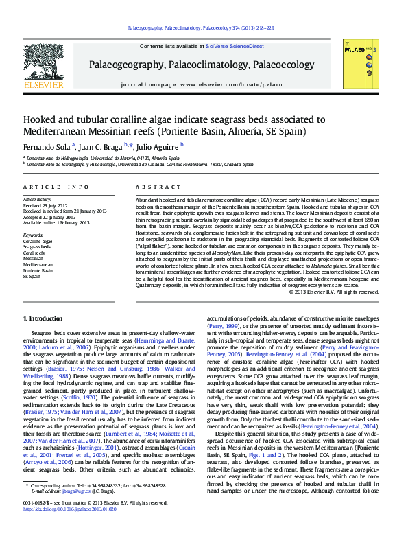 (PDF) Hooked and tubular coralline algae indicate seagrass beds ...