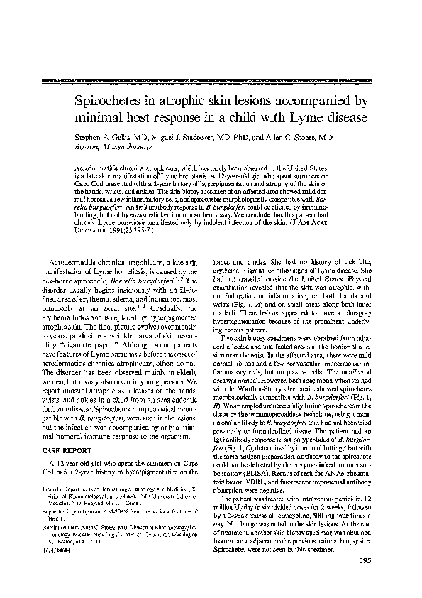 (PDF) Spirochetes in atrophic skin lesions accompanied by minimal host ...