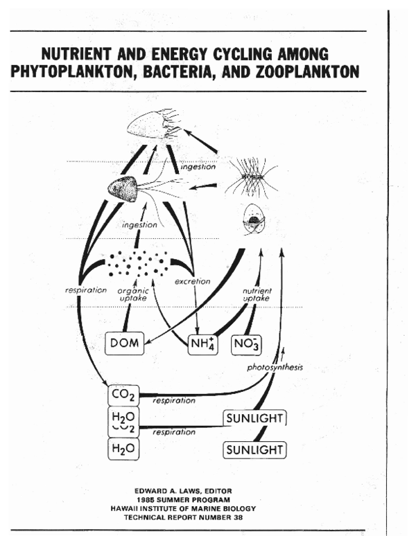 (PDF) Nutrient and Energy Cycling Among Phytoplankton, Bacteria, and ...