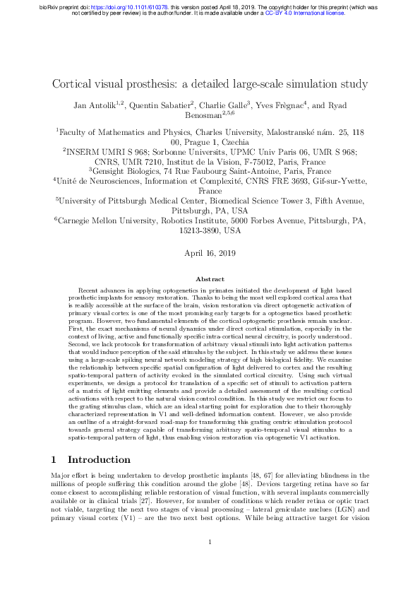 (PDF) Cortical visual prosthesis: a detailed large-scale simulation study