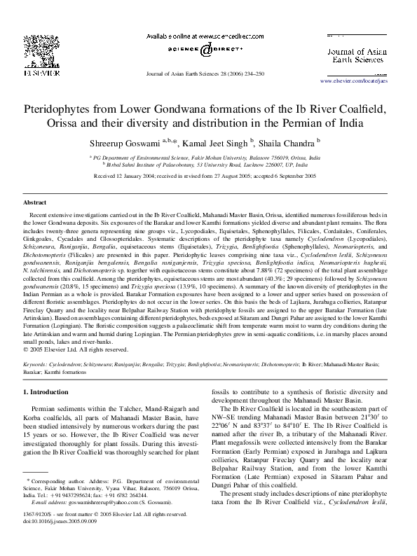 (PDF) Pteridophytes from Lower Gondwana formations of the Ib River ...