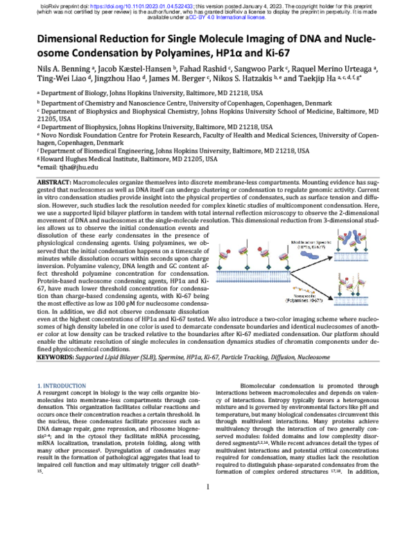 (PDF) Dimensional Reduction for Single Molecule Imaging of DNA and ...