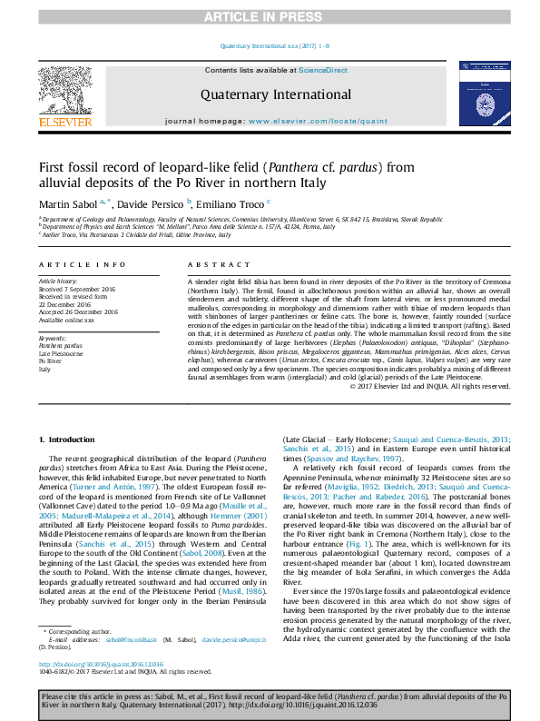 (PDF) First fossil record of leopard-like felid ( Panthera cf. pardus ...