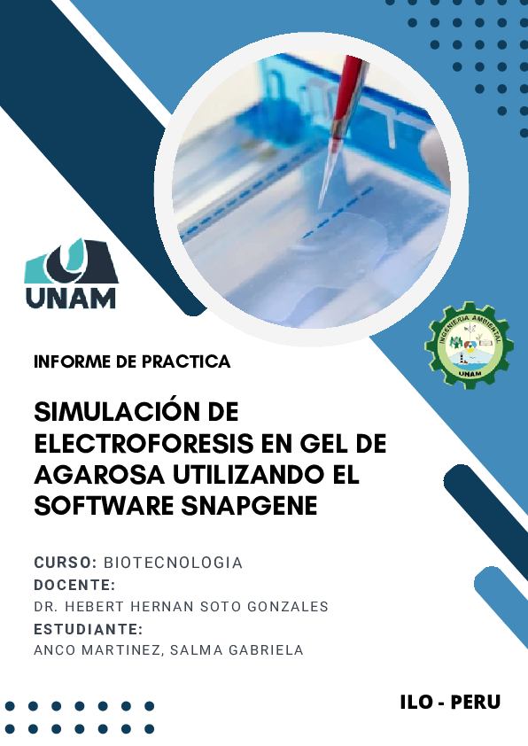 (PDF) SIMULACIÓN DE ELECTROFORESIS EN GEL DE AGAROSA UTILIZANDO EL ...