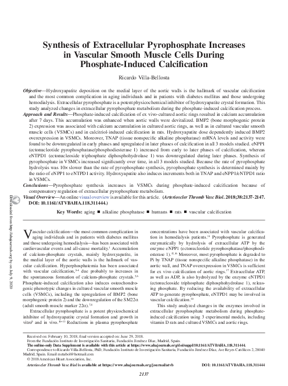 (PDF) Synthesis of Extracellular Pyrophosphate Increases in Vascular Smooth Muscle Cells During ...