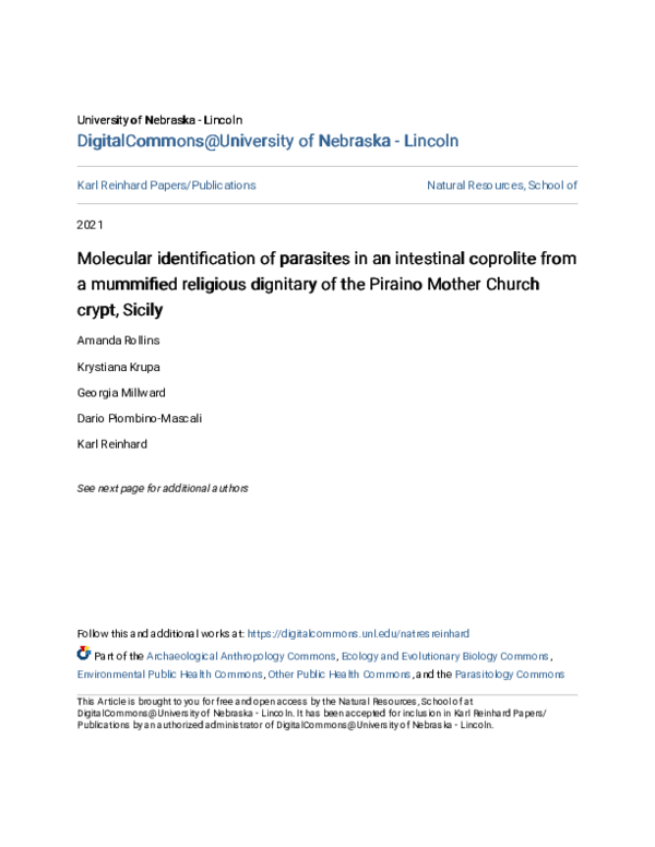 (PDF) Molecular identification of parasites in an intestinal coprolite ...