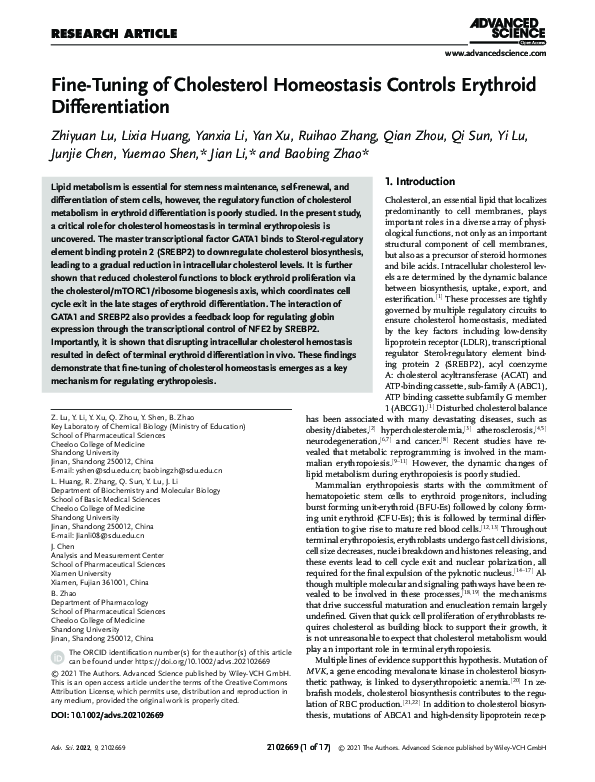 (PDF) Fine‐Tuning of Cholesterol Homeostasis Controls Erythroid ...