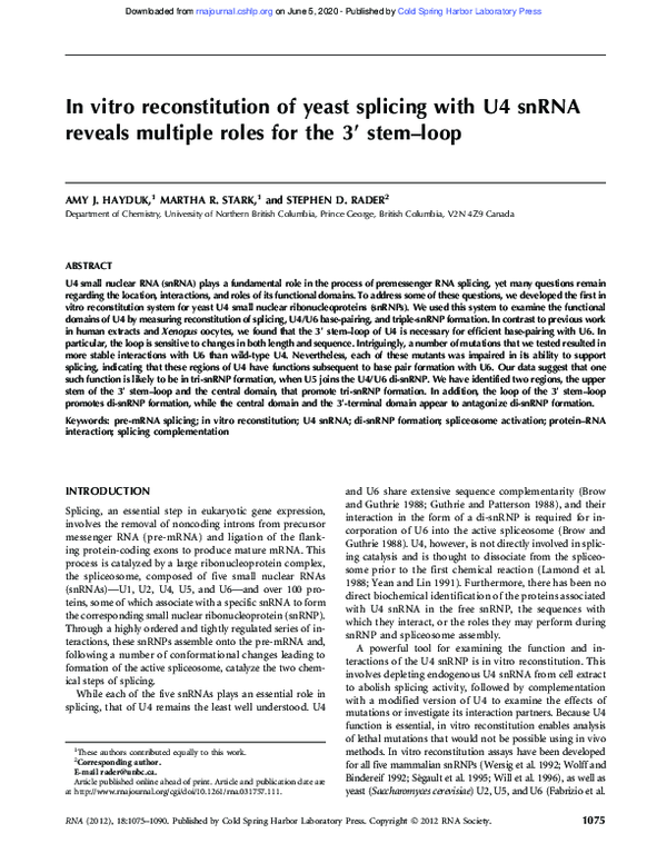 (PDF) In vitro reconstitution of yeast splicing with U4 snRNA reveals multiple roles for the 3 ...