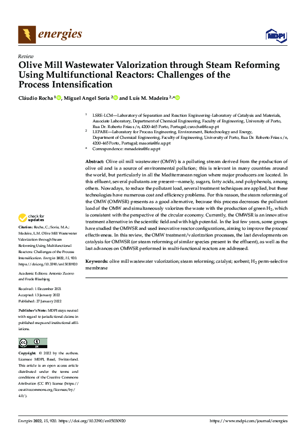 (PDF) Olive Mill Wastewater Valorization through Steam Reforming Using ...