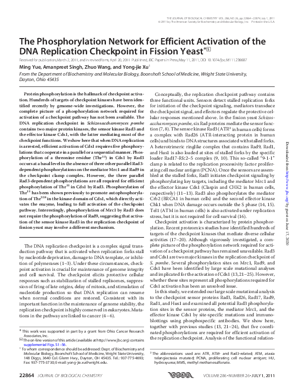 (PDF) The Phosphorylation Network for Efficient Activation of the DNA ...