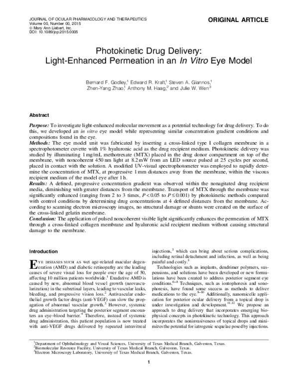 (PDF) Photokinetic Drug Delivery: Light-Enhanced Permeation in an In ...