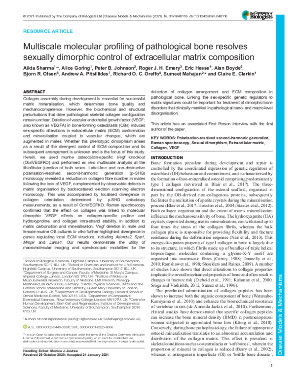 (PDF) Multiscale molecular profiling of pathological bone resolves ...