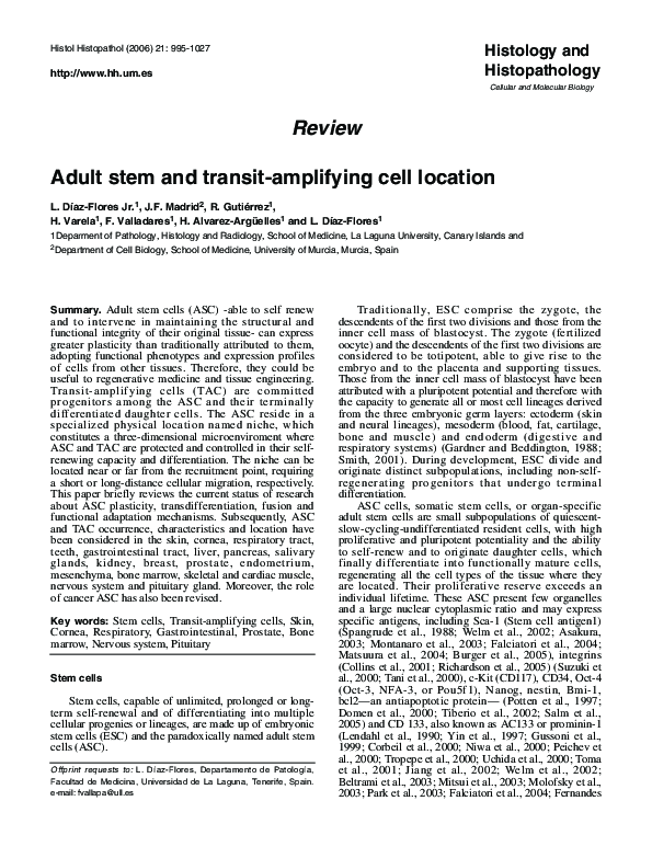 (PDF) Adult stem and transit-amplifying cell location