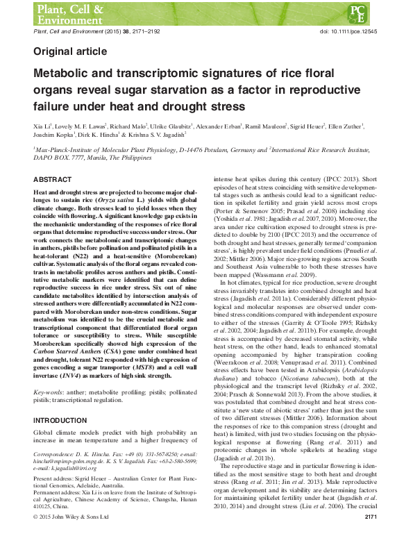 (PDF) Metabolic and transcriptomic signatures of rice floral organs reveal sugar starvation as a ...