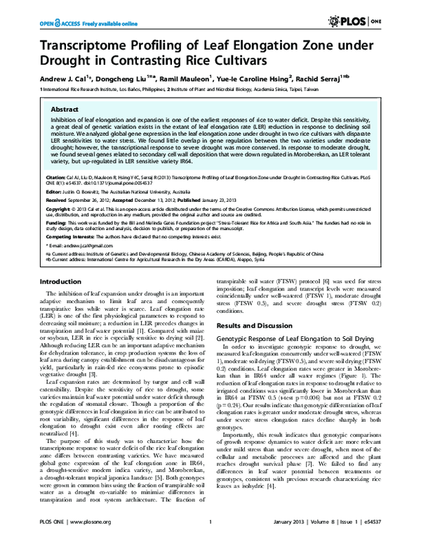 (PDF) Transcriptome Profiling of Leaf Elongation Zone under Drought in ...