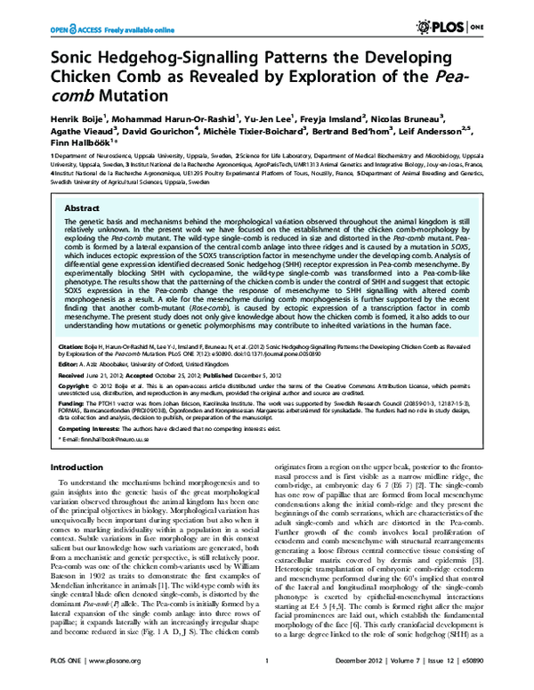 (PDF) Sonic Hedgehog-Signalling Patterns the Developing Chicken Comb as ...