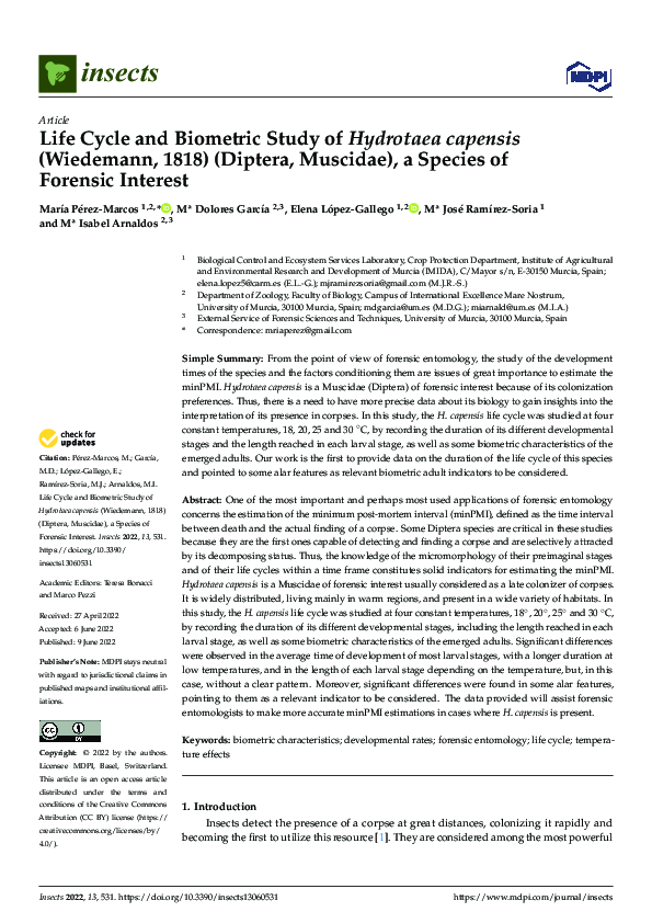 (PDF) Life Cycle and Biometric Study of Hydrotaea capensis (Wiedemann ...