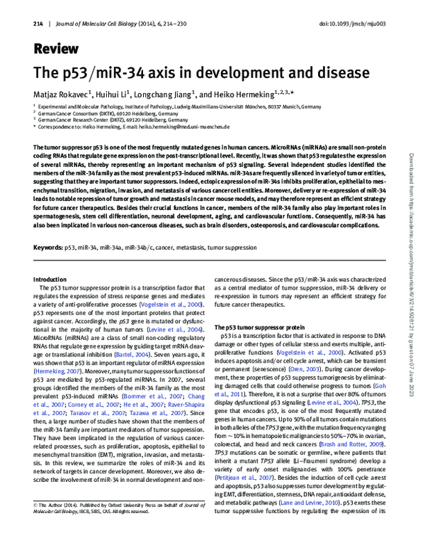 (PDF) Review The p53/miR-34 axis in development and disease