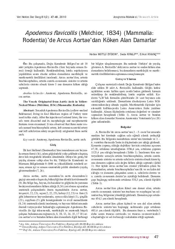 (PDF) Apodemus flavicollis (Melchior, 1834) (Mammalia: Rodentia)'de ...