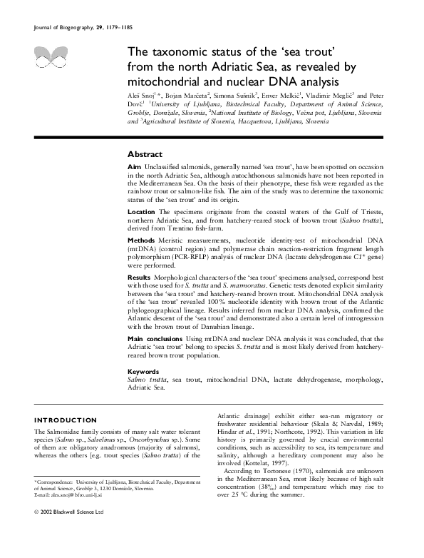 (PDF) The taxonomic status of the `sea trout' from the north Adriatic ...