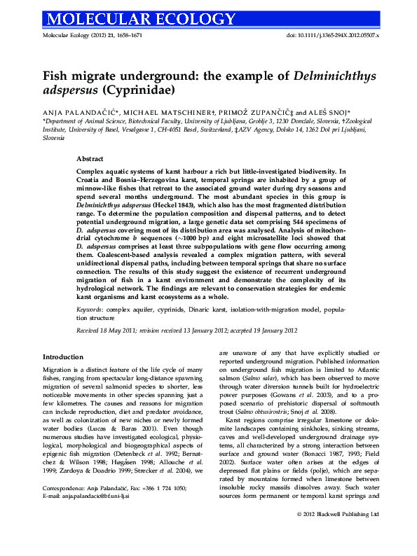 (PDF) Fish migrate underground: the example of Delminichthys adspersus ...
