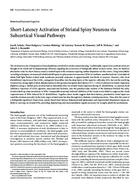 (PDF) Short-Latency Activation of Striatal Spiny Neurons via ...