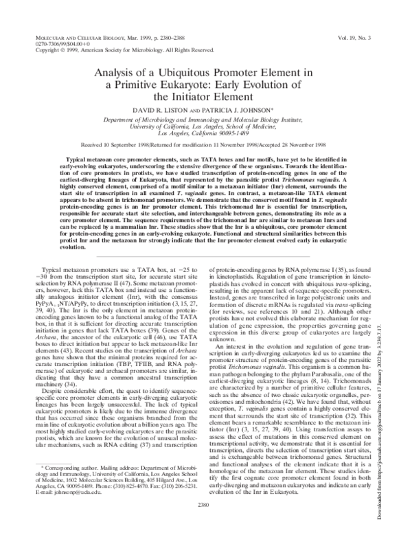 (PDF) Analysis of a Ubiquitous Promoter Element in a Primitive ...