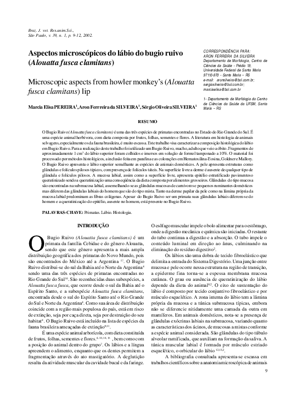 (PDF) Aspectos microscópicos do lábio do bugio ruivo (Alouatta fusca ...