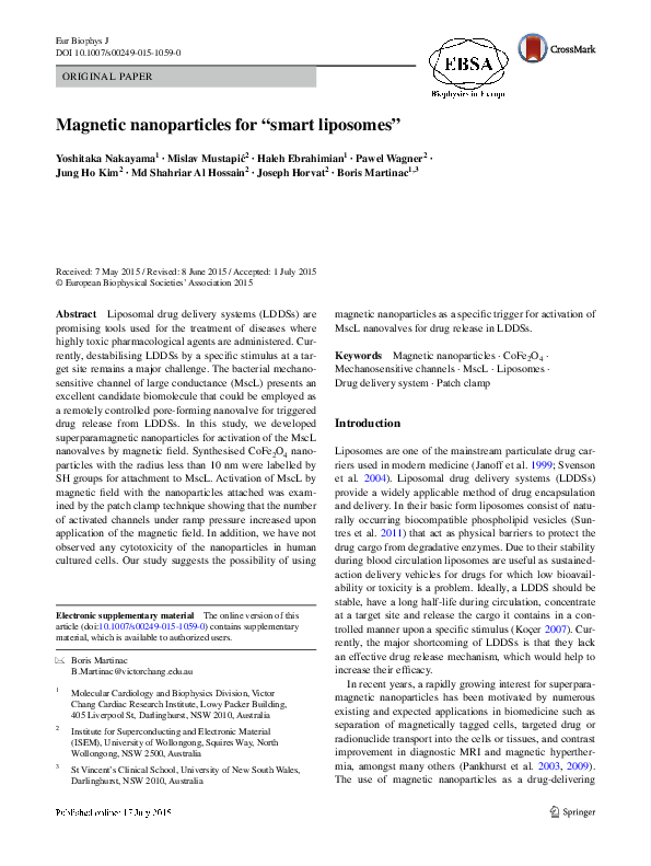 (PDF) Magnetic nanoparticles for "smart liposomes