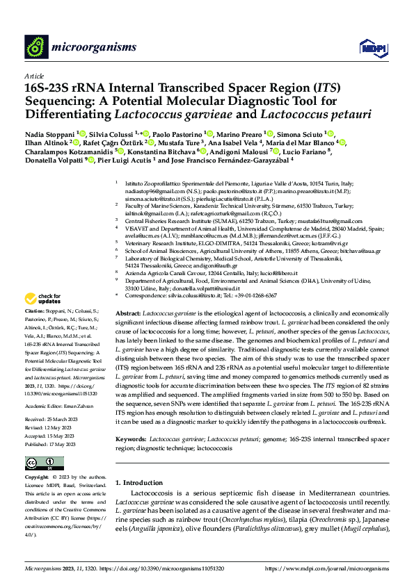 (PDF) 16S-23S rRNA Internal Transcribed Spacer Region (ITS) Sequencing: A Potential Molecular ...