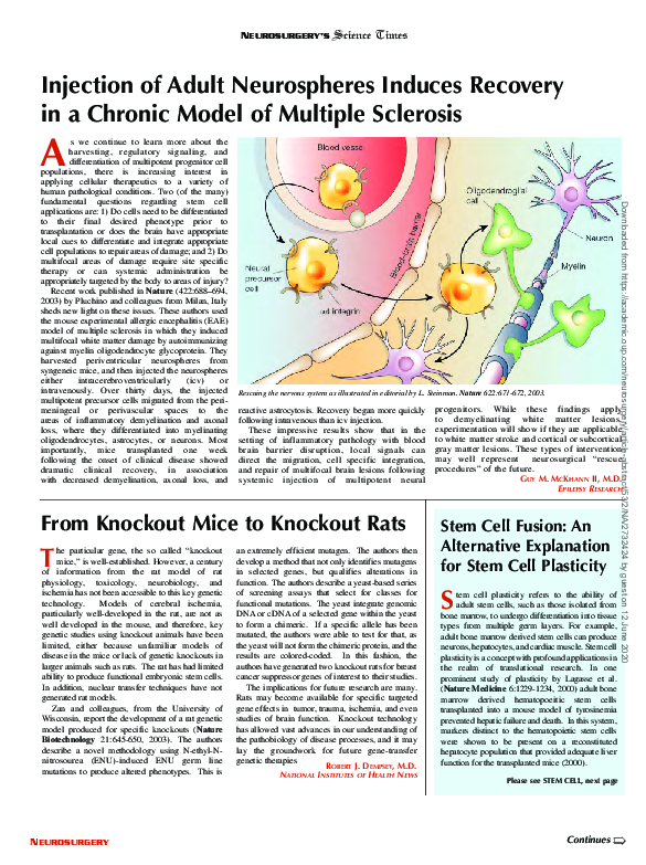 (PDF) Injection of Adult Neurospheres Induces Recovery in a Chronic ...