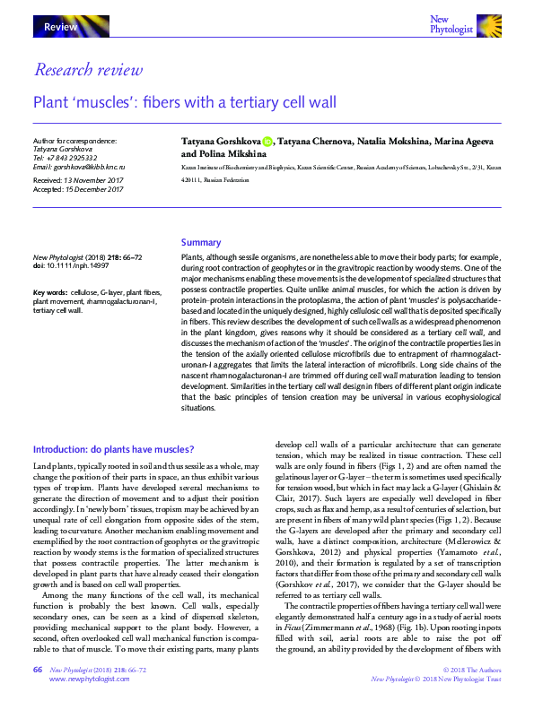 (PDF) Plant 'muscles': fibers with a tertiary cell wall | Natalia ...
