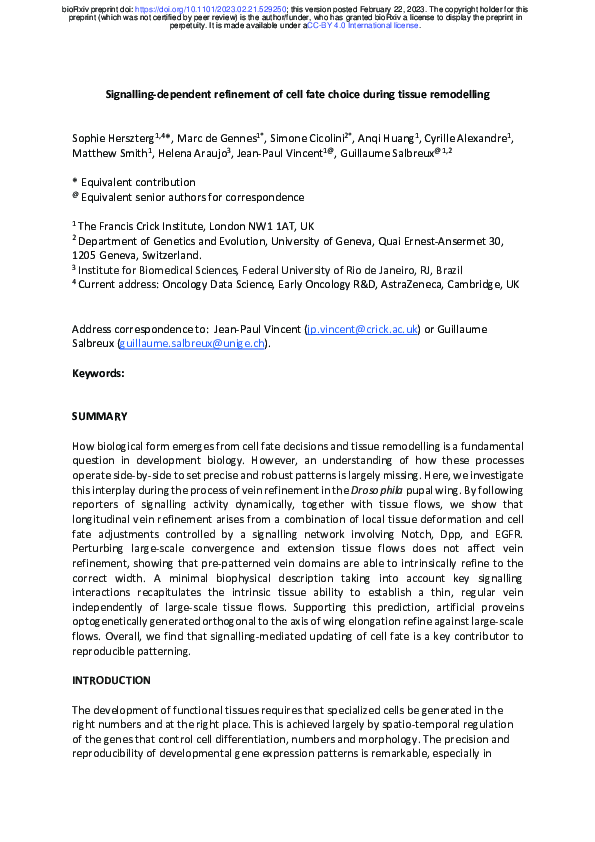 (PDF) Signalling-dependent refinement of cell fate choice during tissue remodelling | marc de ...