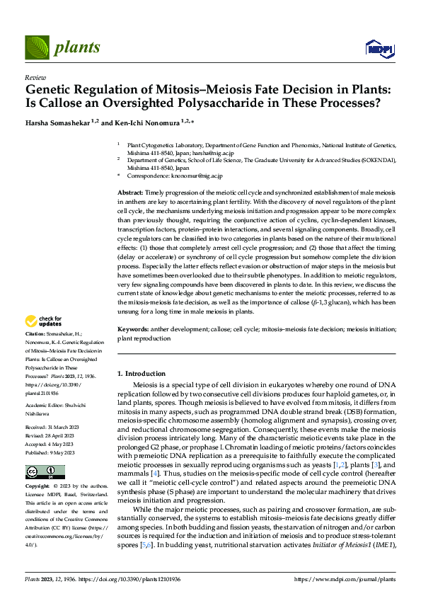 (PDF) Genetic Regulation of Mitosis–Meiosis Fate Decision in Plants: Is ...