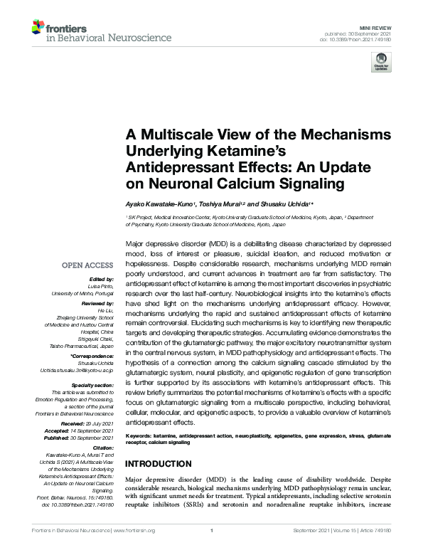 (PDF) A Multiscale View of the Mechanisms Underlying Ketamine’s Antidepressant Effects: An ...