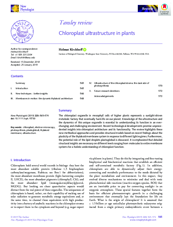 (PDF) Chloroplast ultrastructure in plants