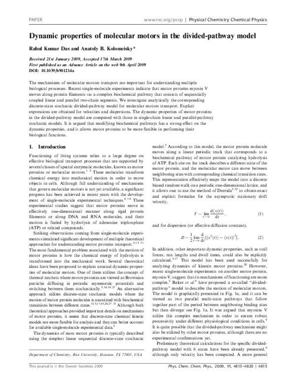 (PDF) Dynamic properties of molecular motors in the divided-pathway model