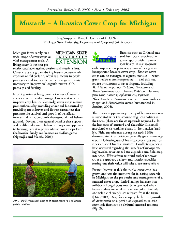 (PDF) Mustards - A Brassica Cover Crop for Michigan