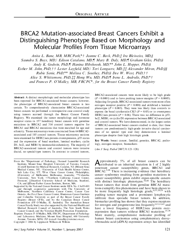 (PDF) BRCA2 Mutation-associated Breast Cancers Exhibit a Distinguishing Phenotype Based on ...