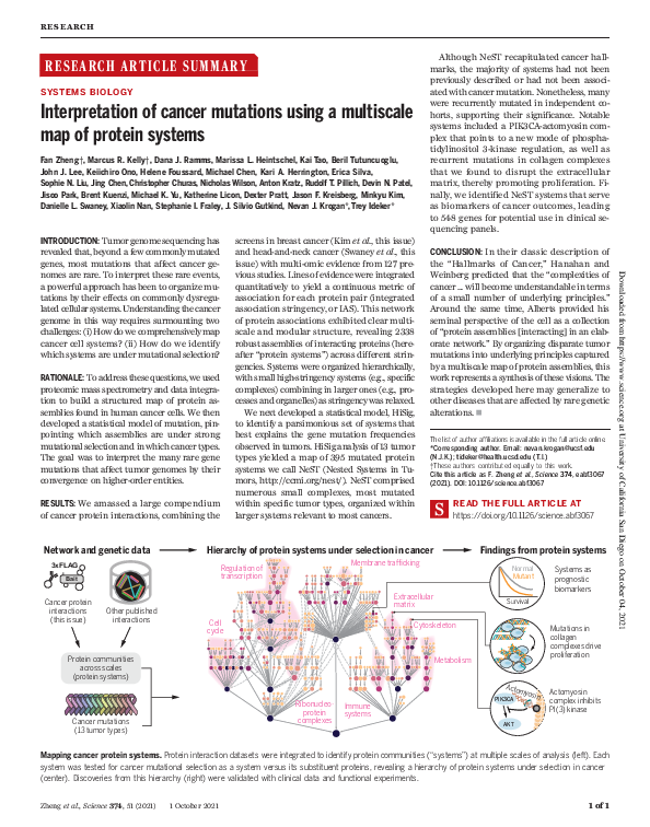 (PDF) Interpretation of cancer mutations using a multiscale map of ...