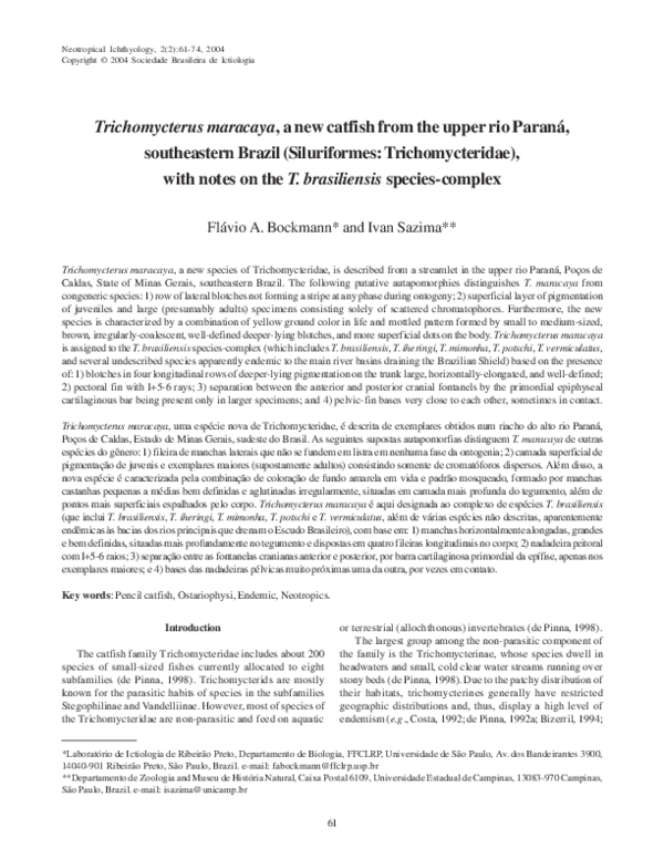 (PDF) Trichomycterus maracaya, a new catfish from the upper rio Paraná ...