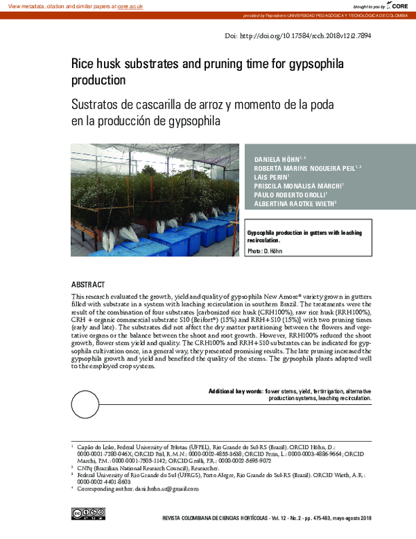 (PDF) Sustratos de cascarilla de arroz y momento de la poda en la producción de gypsophila